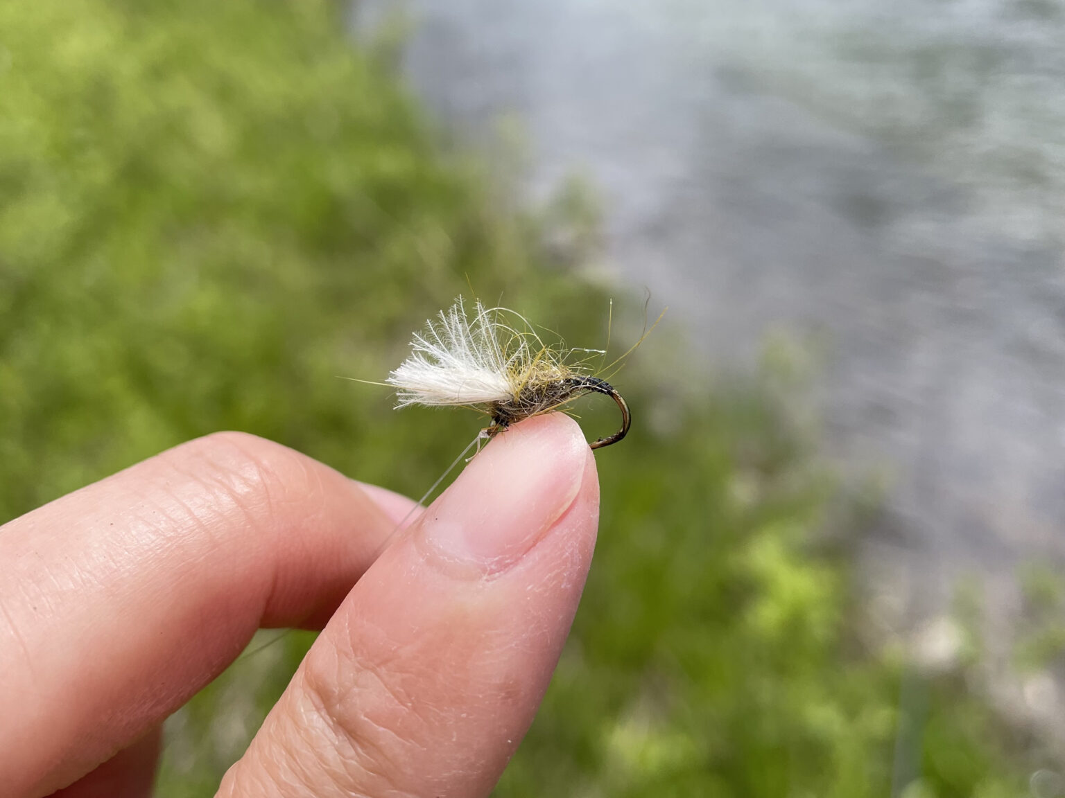 World-class white spotted char fishing. » Fieldscope. guide service